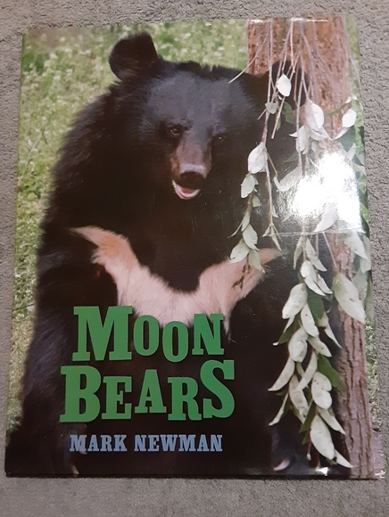 Other | Moon Bears Childrens Book | Poshmark